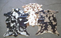 Hides, steer hides, cow hides and cowhide poducts