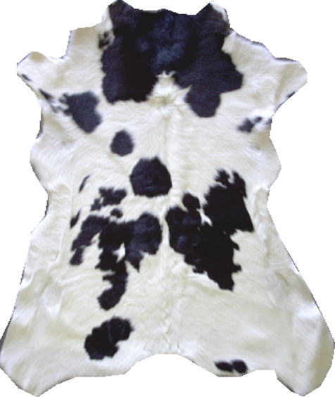 Hides, steer hides, cow hides and cowhide poducts