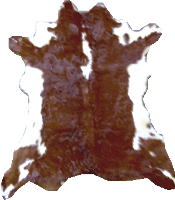 Hides, steer hides, cow hides and cowhide poducts